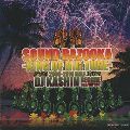 SOUND BAZOOKA : KING OF BIG TUNE 2009-2010 HALF/DJ KASHIN｜REGGAE｜ディスク ...
