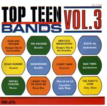 TOP TEEN BANDS VOL.3 (CDR)/V.A. (GARAGE)｜OLD ROCK｜ディスクユニオン･オンラインショップ ...