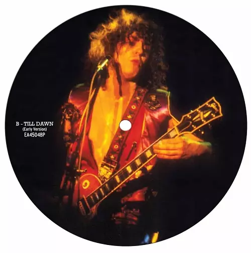 VENUS LOON / TIL DAWN (PICTURE 7")/T. REX/T・レックス｜OLD ROCK｜ディスクユニオン ...