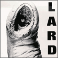 POWER OF LARD/LARD/ラード｜PUNK｜ディスクユニオン･オンラインショップ｜diskunion.net