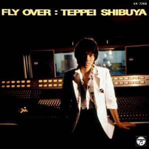 FLY OVER/TEPPEI SHIBUYA/渋谷哲平｜日本のロック｜ディスクユニオン･オンラインショップ｜diskunion.net