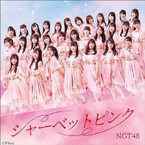 シャーベットピンク/NGT48/通常盤TYPE-B / 初回特典:NGT48メンバー生写真ランダム1枚(30名×2Type 全60種)、イベント参加券封入 / 映像特典収録 / 未収録曲収録 ...