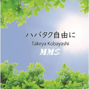 ハバタク自由に/TAKEYA KOBAYASHI/小林毅圭也/MMSホールディングス設立30周年記念｜日本のロック｜ディスクユニオン ...