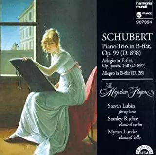 SCHUBERT;TRIO FOR PIANO/STEVEN LUBIN/スティーヴン・ルービン｜CLASSIC｜ディスクユニオン･オンライン ...