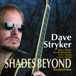 Shades Beyond/DAVE STRYKER/デイヴ・ストライカー｜JAZZ｜ディスクユニオン･オンラインショップ｜diskunion.net