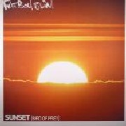SUNSET (BIRD OF PREY)/FATBOY SLIM/ファットボーイ・スリム｜CLUB/DANCE｜ディスクユニオン･オンラインショップ｜diskunion.net