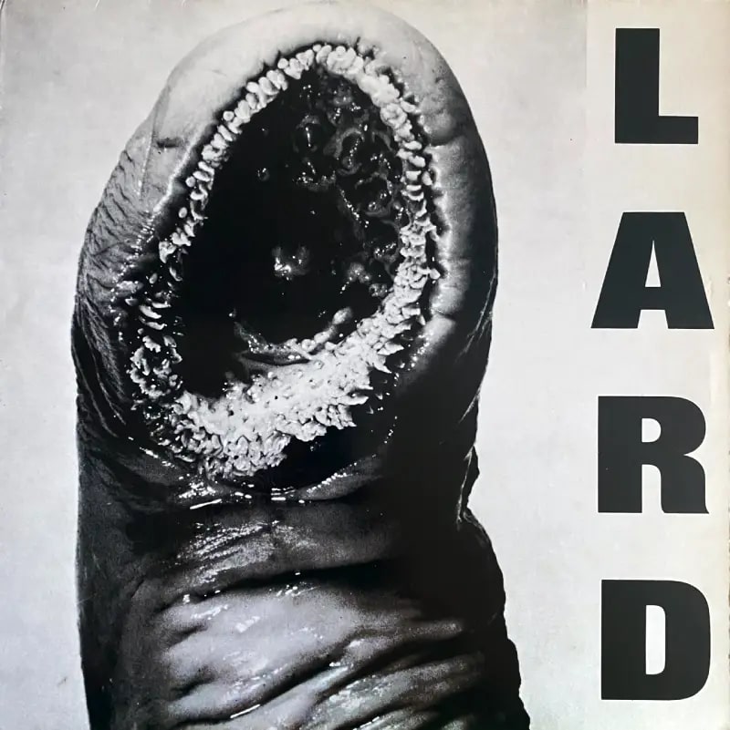 POWER OF LARD EP/LARD/ラード｜PUNK｜ディスクユニオン･オンラインショップ｜diskunion.net