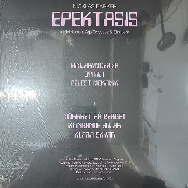 【本日の一枚】90sスウェーデン御三家 ～ 大本命、Anekdotenの全アルバム（+ソロ）をまとめてご紹介！ : ディスクユニオン新宿ロックレコードストア