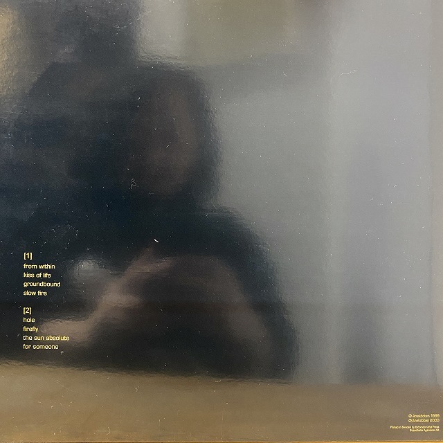 【本日の一枚】90sスウェーデン御三家 ～ 大本命、Anekdotenの全アルバム（+ソロ）をまとめてご紹介！ : ディスクユニオン新宿ロックレコードストア