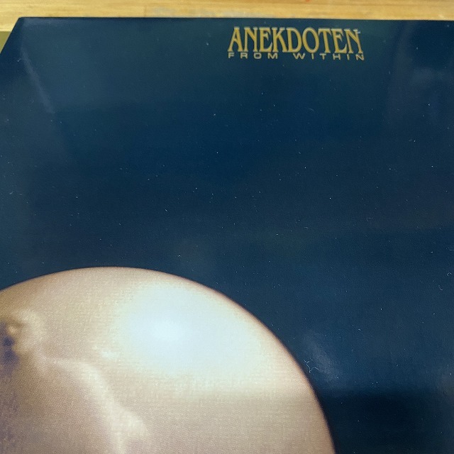 【本日の一枚】90sスウェーデン御三家 ～ 大本命、Anekdotenの全アルバム（+ソロ）をまとめてご紹介！ : ディスクユニオン新宿ロックレコードストア