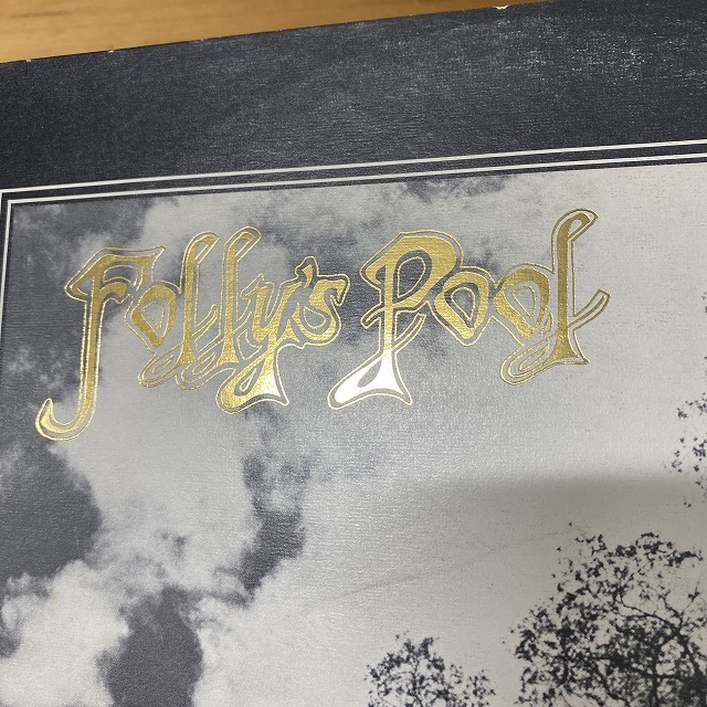 【本日の一枚】米自主盤界屈指の名品 ～ アメリカン・ファイン・プログレッシヴ・ロック・グループ、FOLLY'S POOLをご紹介 ...
